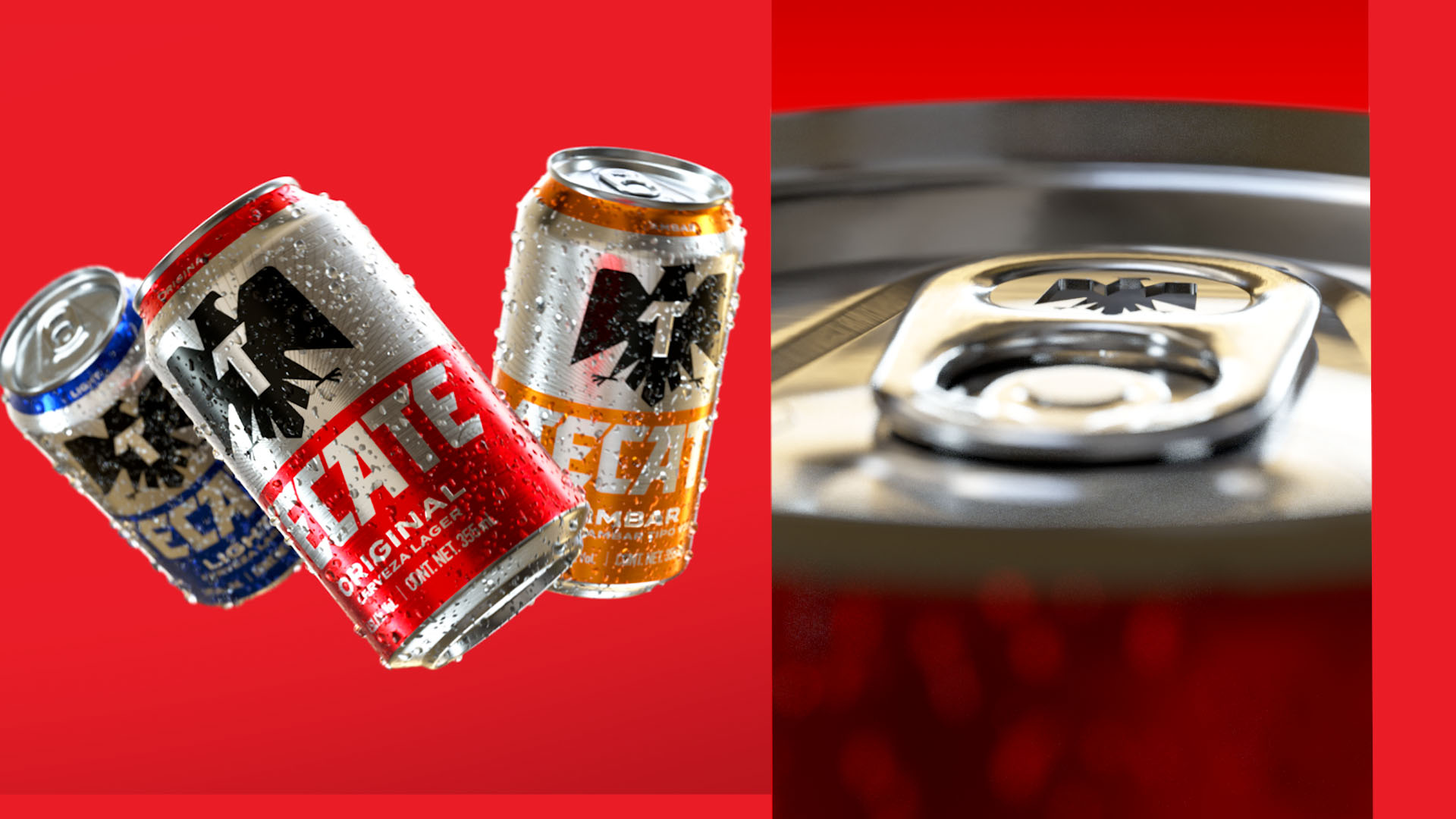 Elmwood x Tecate | We Fly - Found